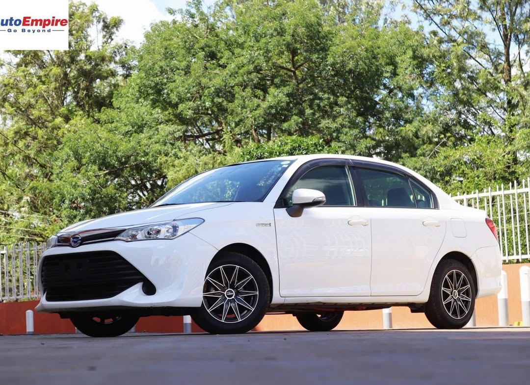 2017 Toyota Axio Hybrid - AutoEmpire